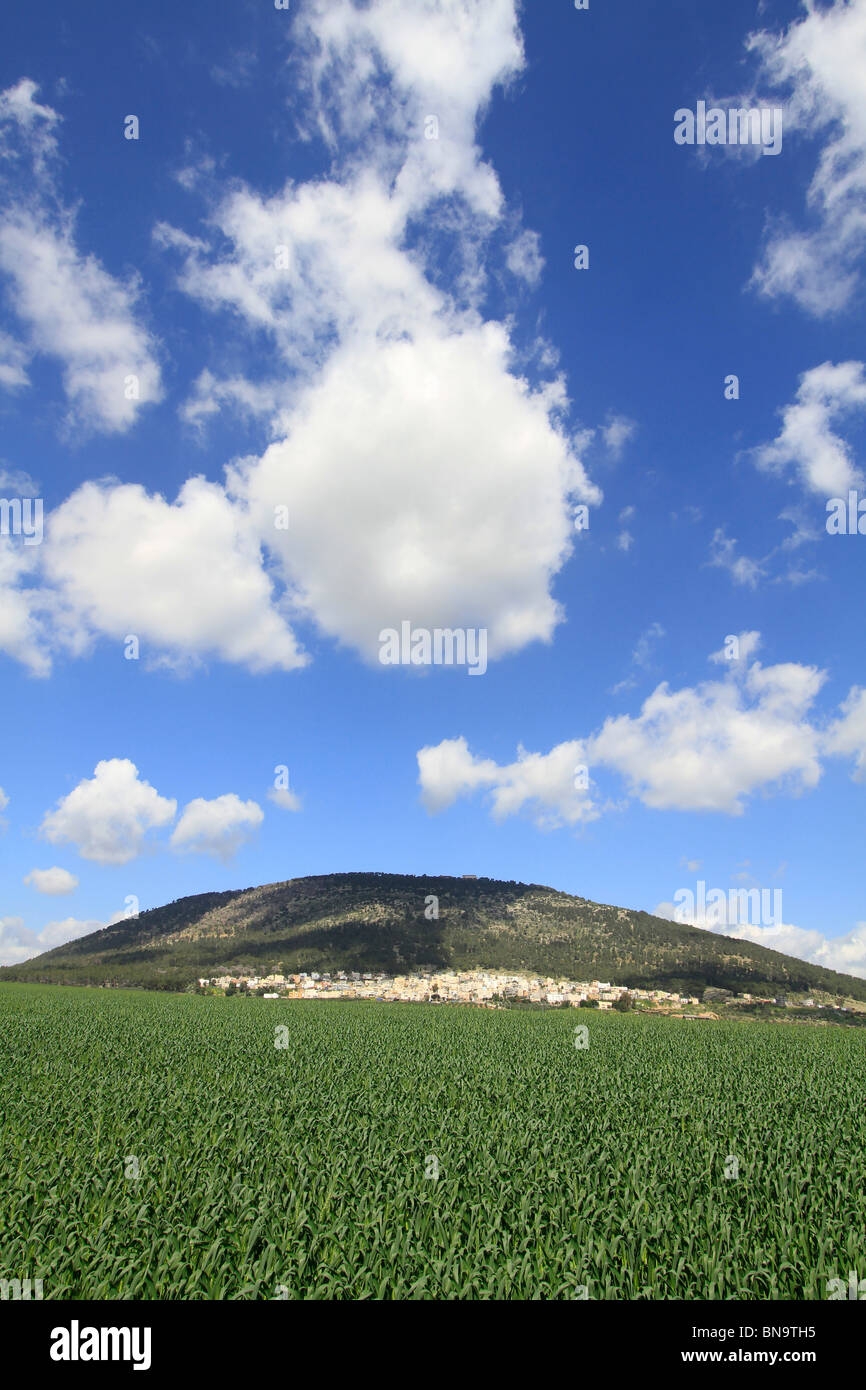 Israel, Mount Tabor in Jezreel valley Stock Photo - Alamy