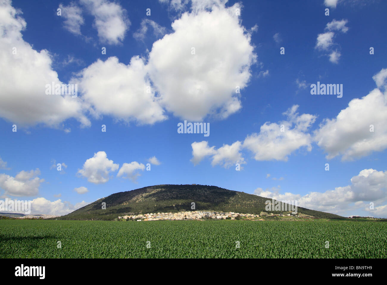 Israel, Mount Tabor in Jezreel valley Stock Photo - Alamy