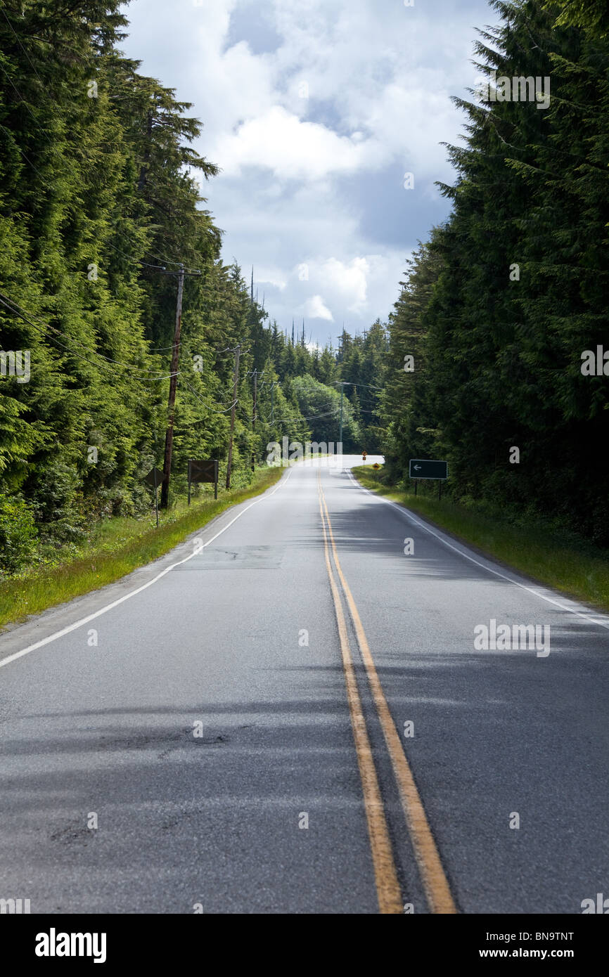 Forest Road for background use Stock Photo - Alamy