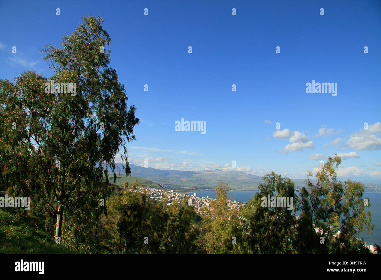 Israel, Lower Galilee, Switzerland forest overlooking the Sea of ...