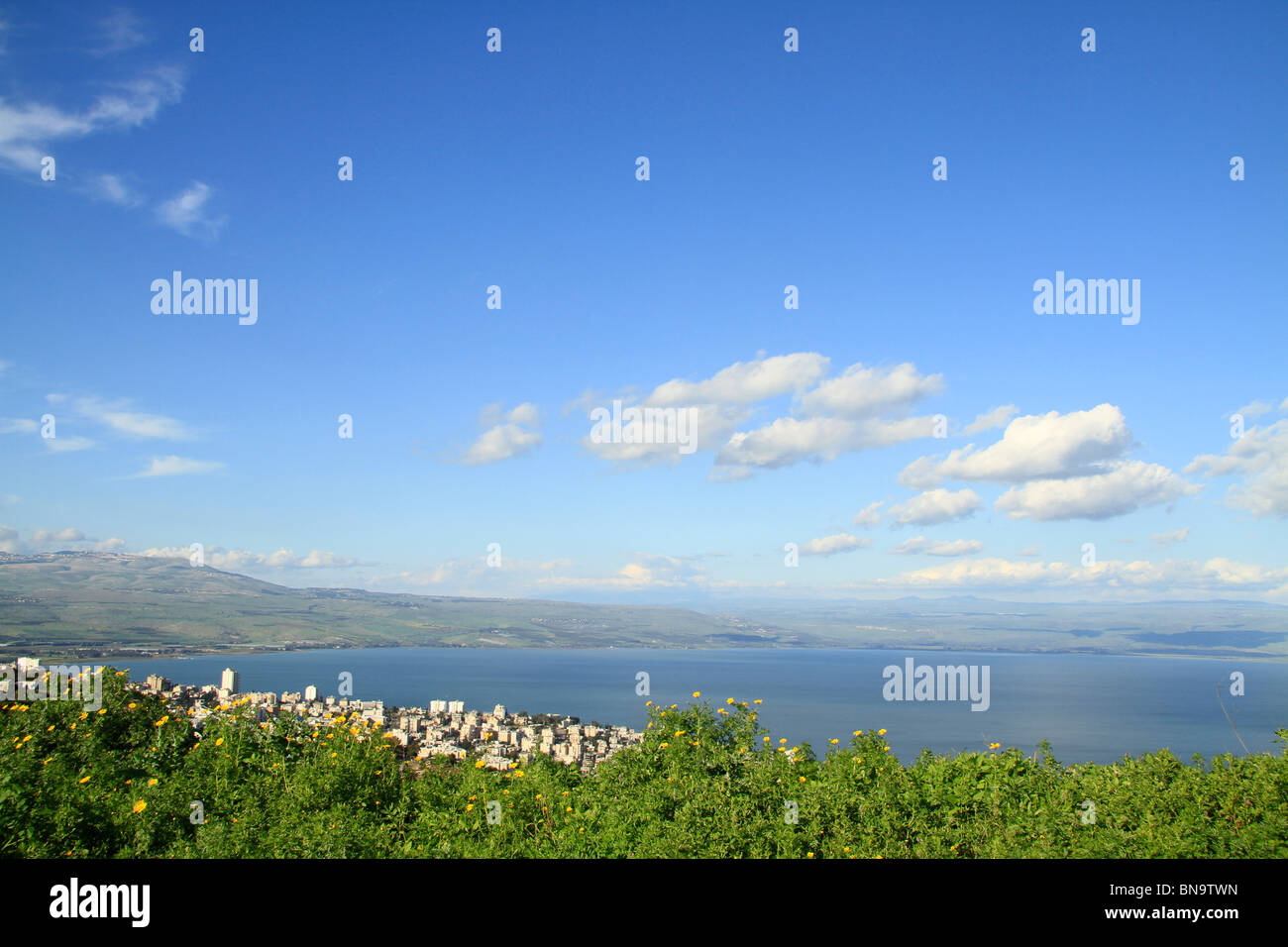 Israel, Lower Galilee, Switzerland forest overlooking the Sea of ...