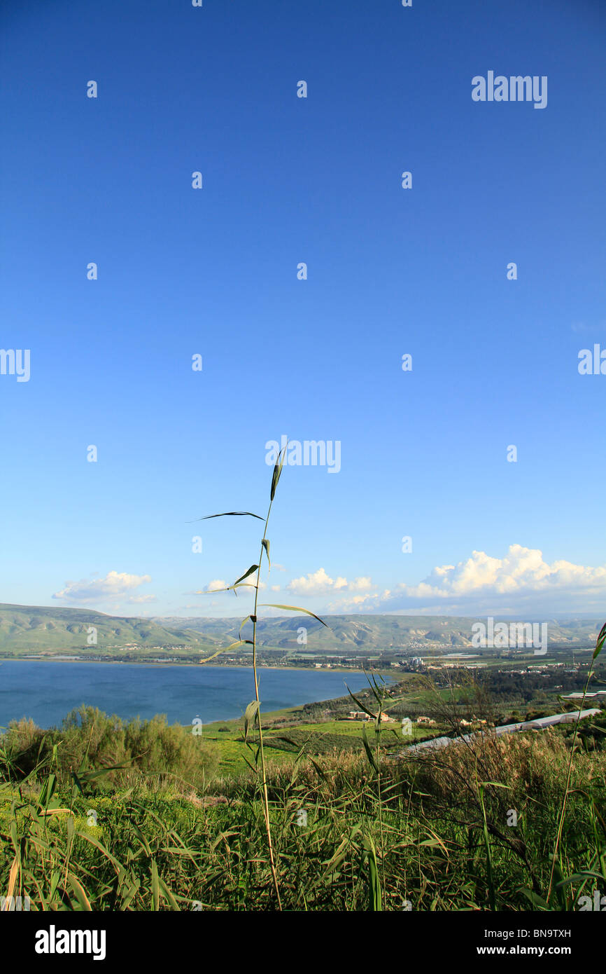 Israel, Lower Galilee, Ein Poriya overlooking the Sea of Galilee Stock ...