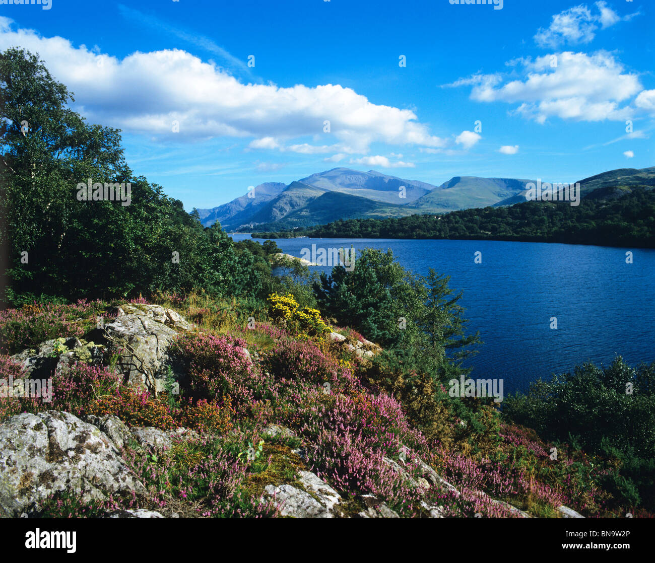Llanberis - View of Mount Snowdon from across Llyn Padarn Stock Photo ...