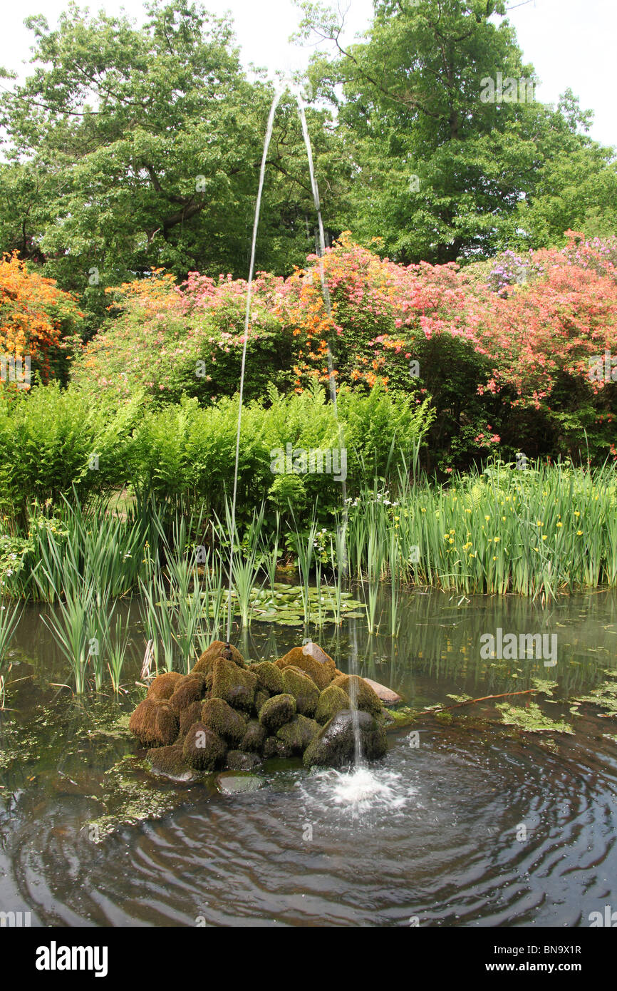 Estate of Tatton Park, England. Picturesque spring view of a small pond ...