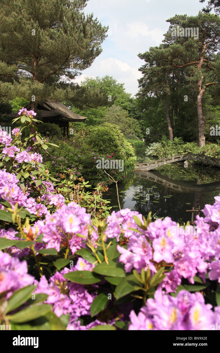 Tatton park japanese spring hi-res stock photography and images - Alamy