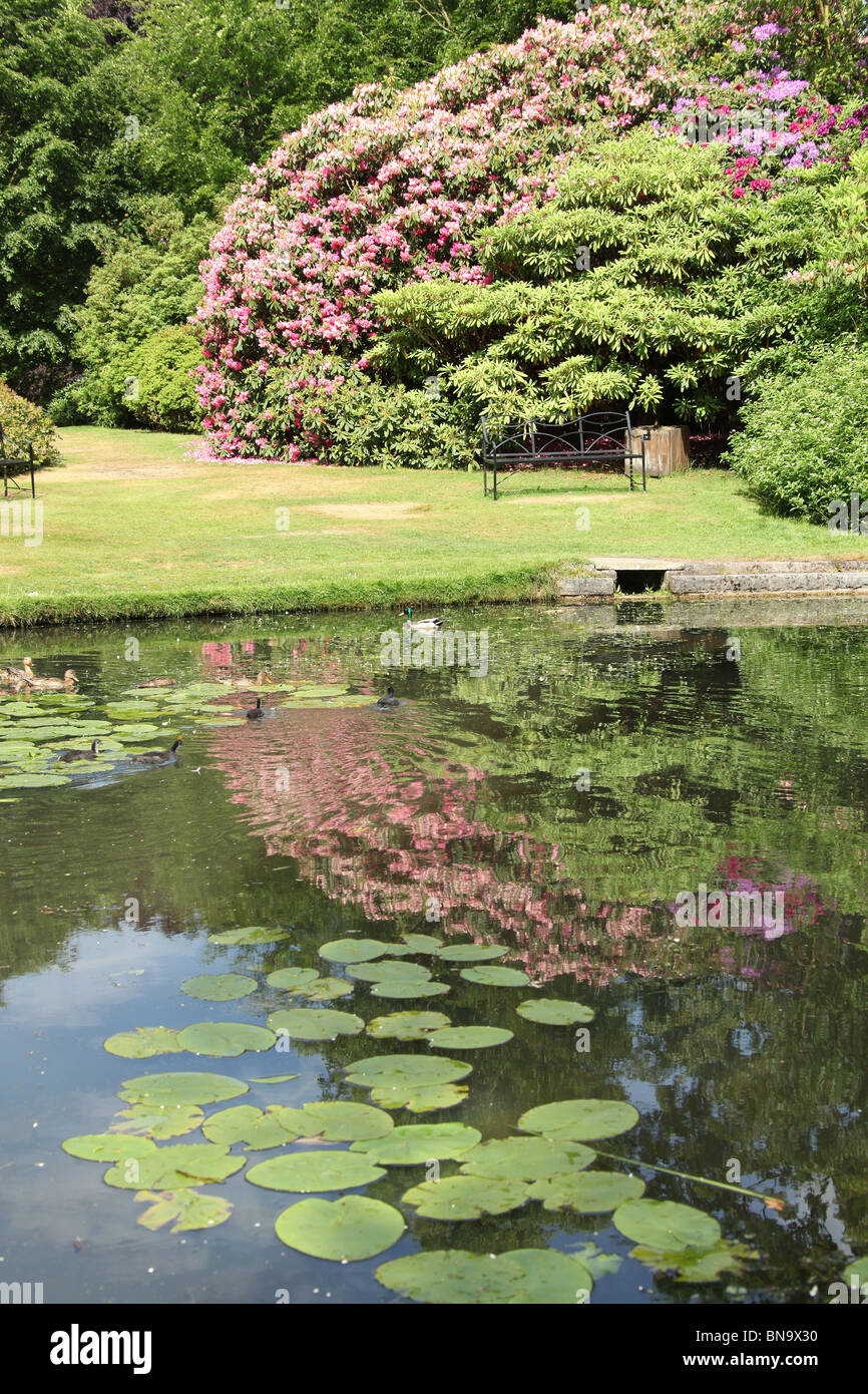 Estate of Tatton Park, England. Picturesque spring view of Tatton ...