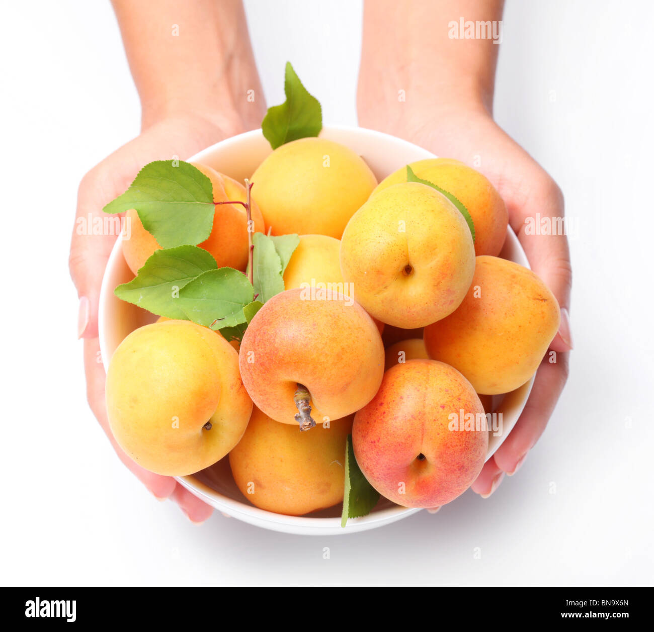 Apricot hand hi-res stock photography and images - Alamy