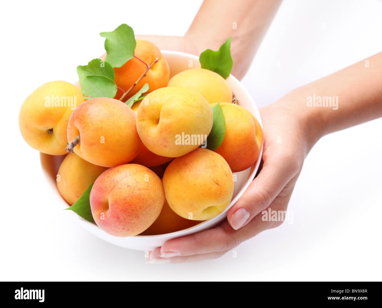 Apricot hand hi-res stock photography and images - Alamy