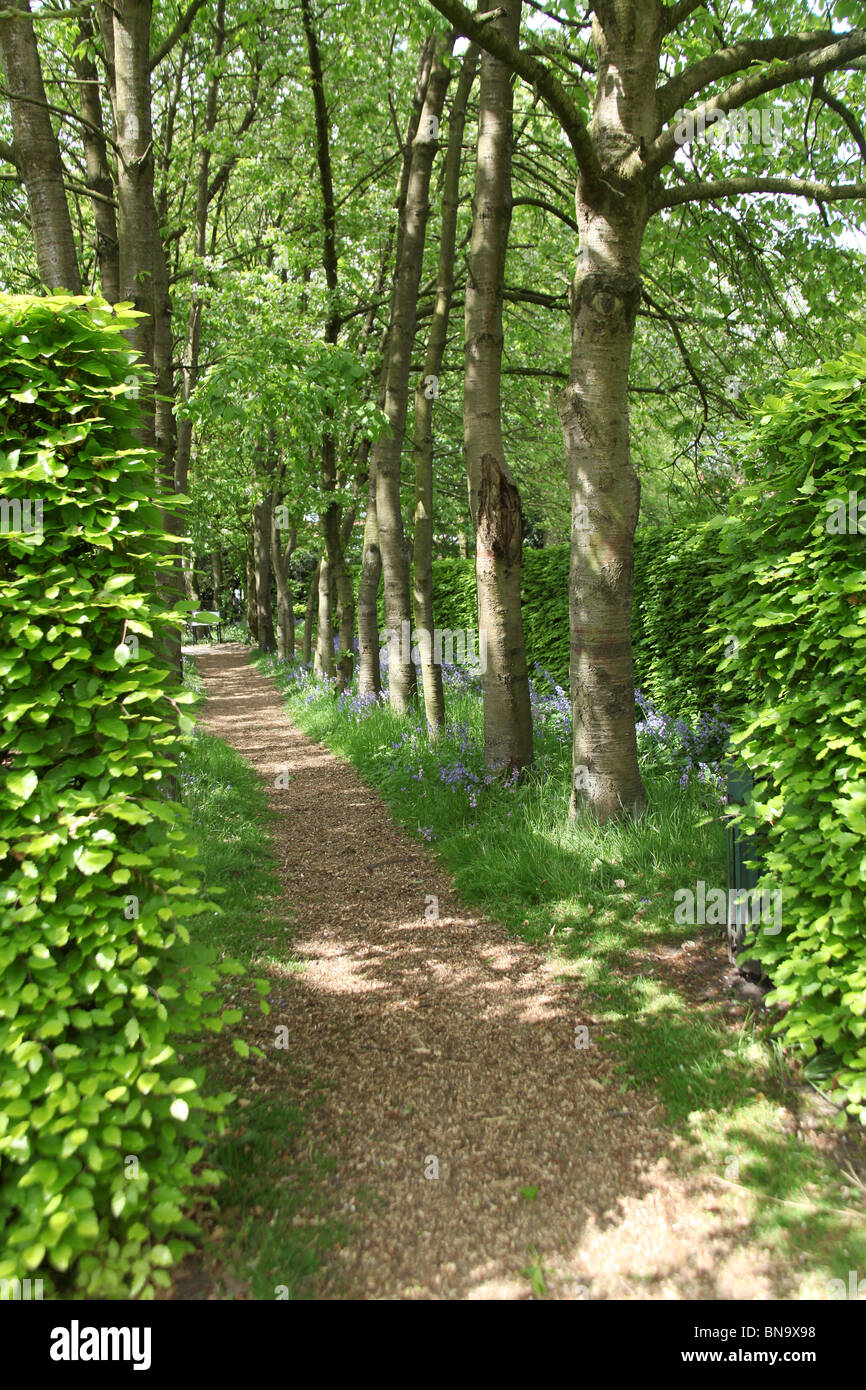 Walkden Gardens, Sale, England. Spring view of the tree lined footpaths ...