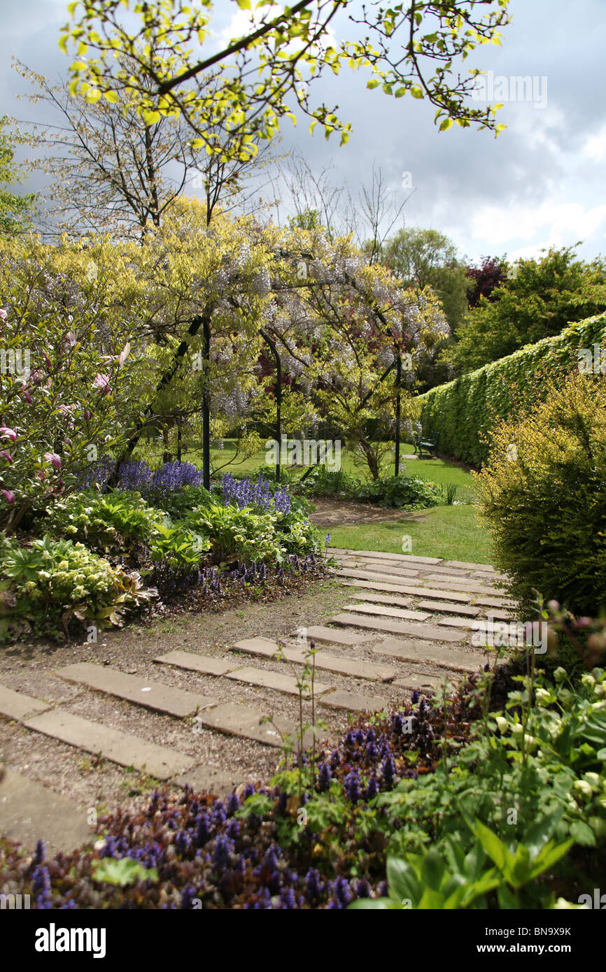 Walkden Gardens, Sale, England. Spring view of a wisteria arch in bloom ...