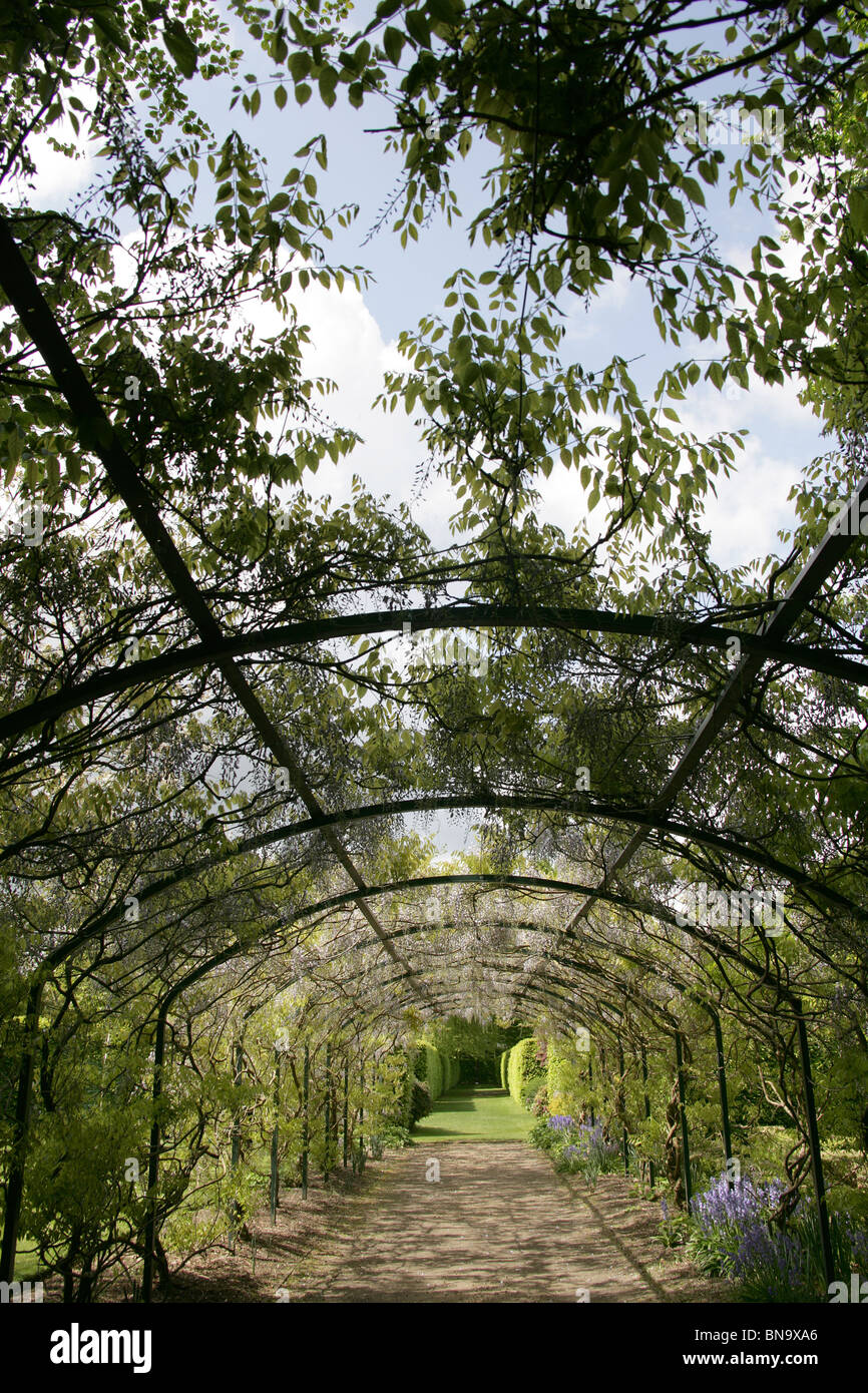 Walkden Gardens, Sale, England. Spring view of a wisteria arch in bloom ...