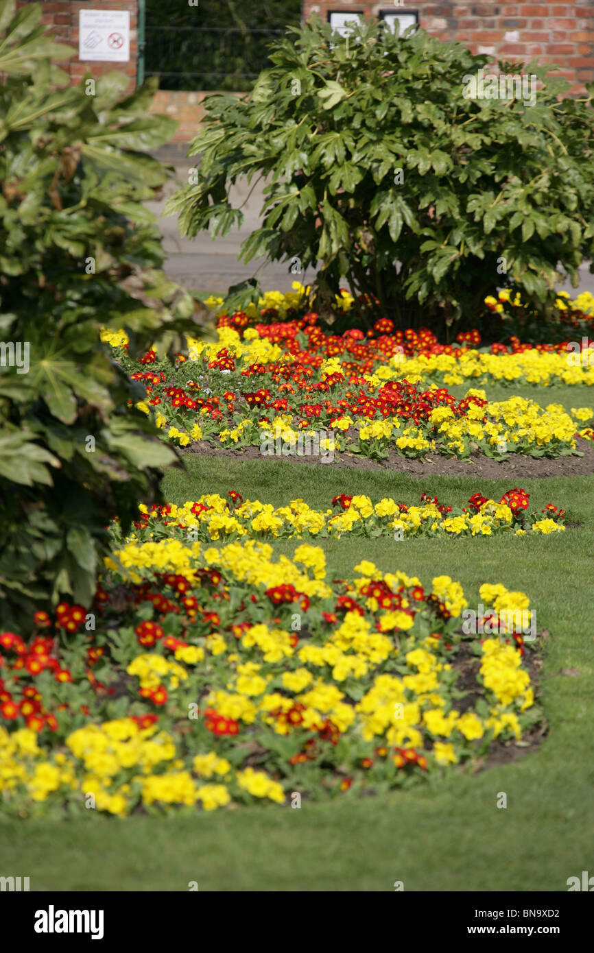 Walton Hall and Gardens. Picturesque view of spring bedding plants in ...