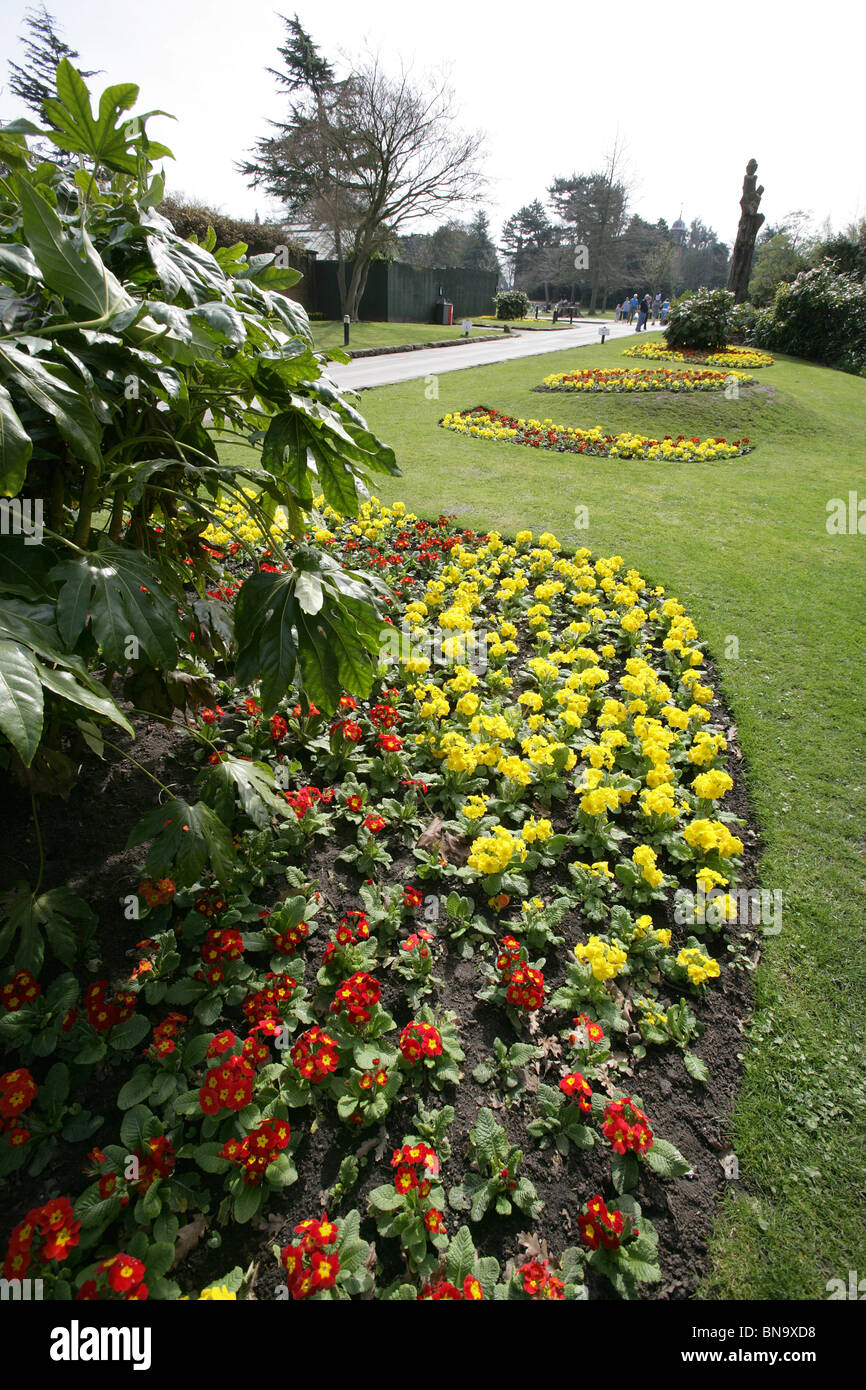 Walton Hall and Gardens. Picturesque view of spring bedding plants in ...