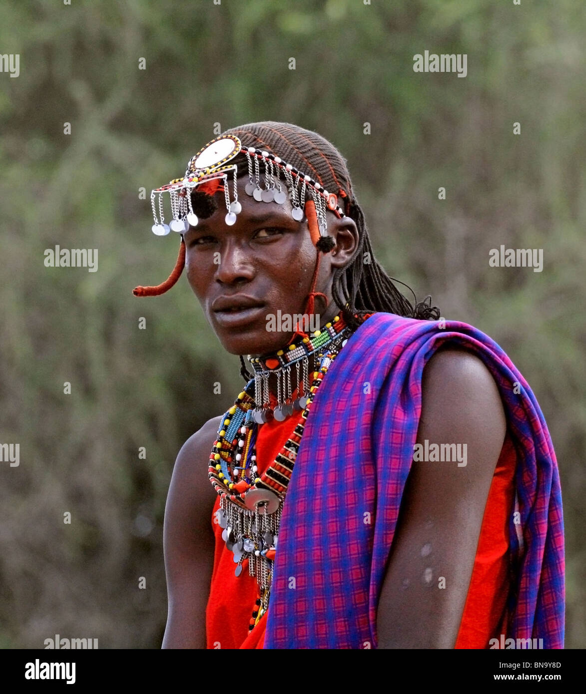 A handsome Masai warrior portrait shot taken in Masai Mara National ...