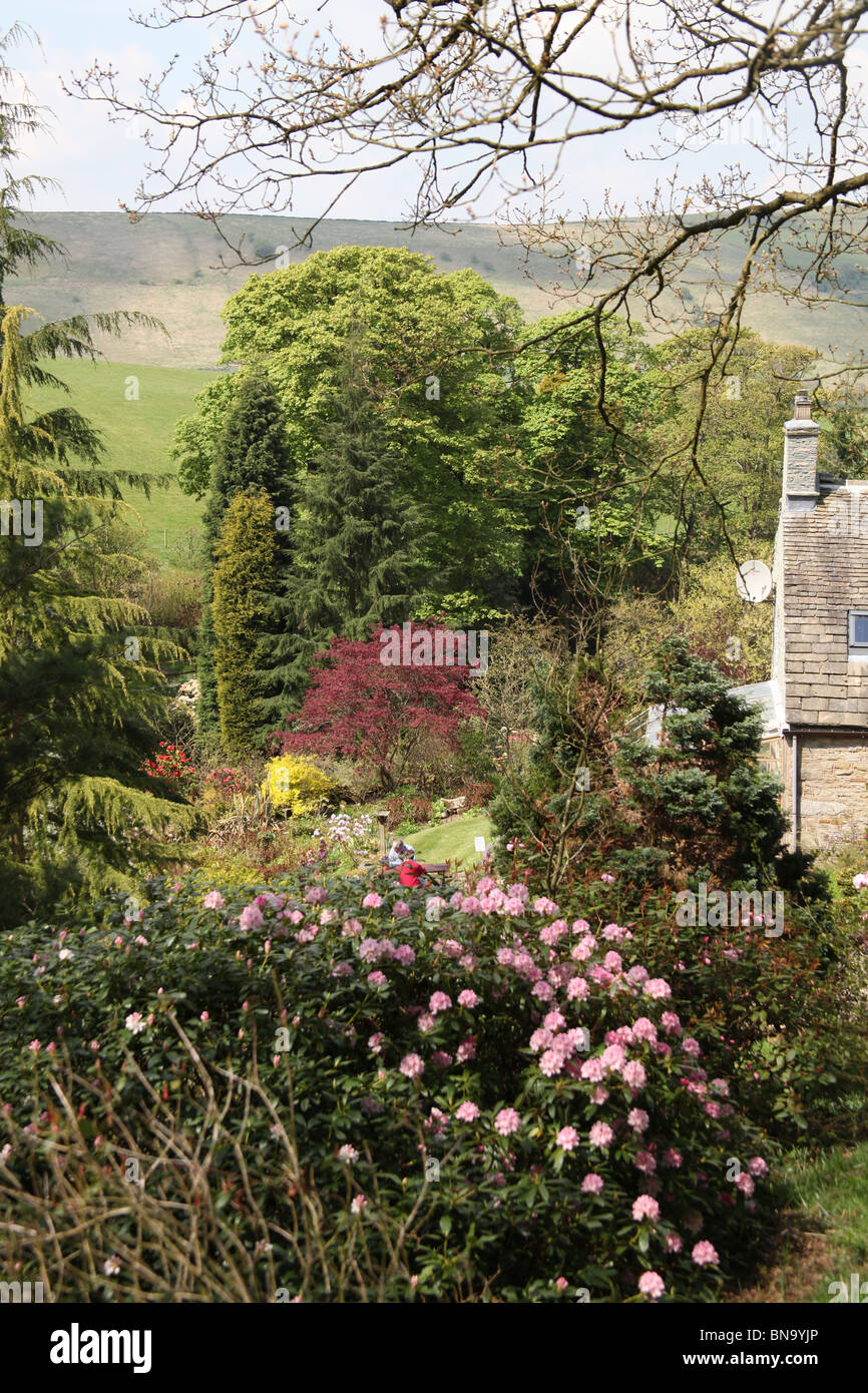 Dunge Valley Rhododendron Gardens, England. Spring view of Dunge Valley ...