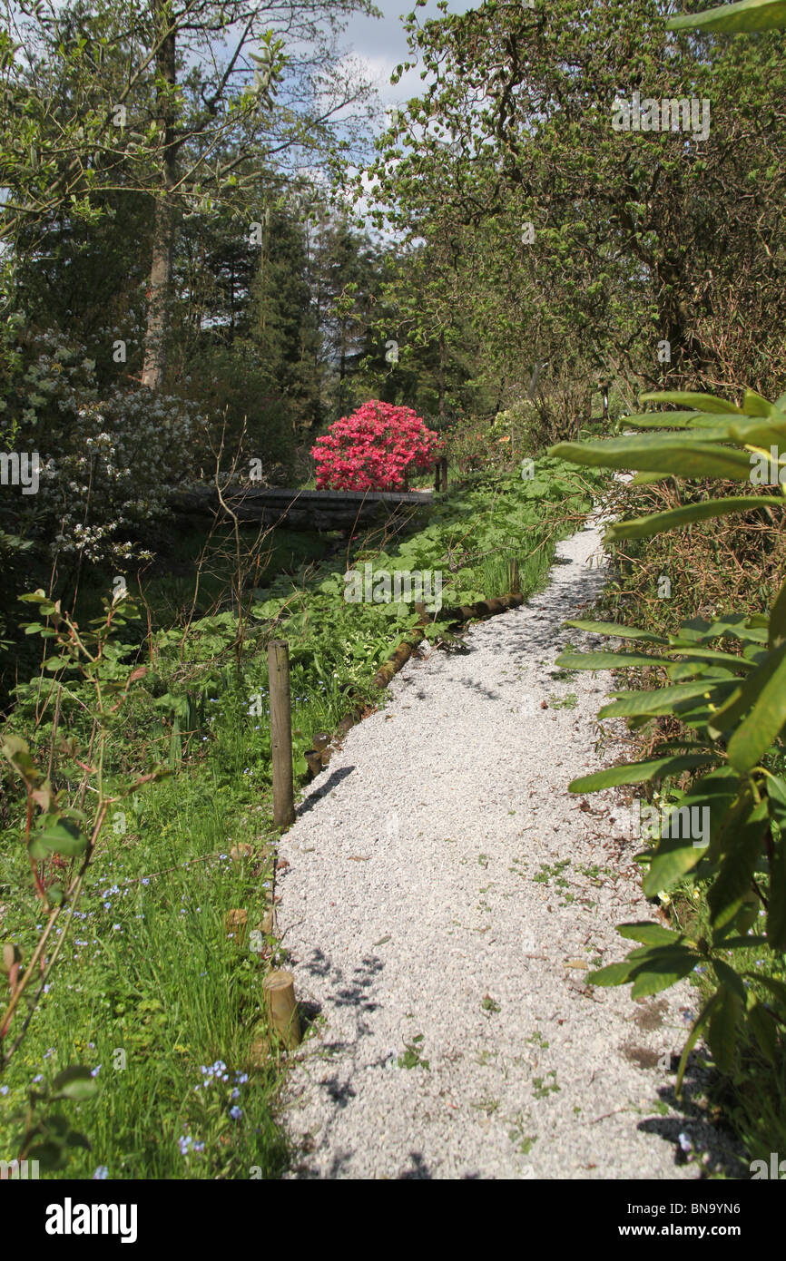 Dunge Valley Rhododendron Gardens, England. Spring view of Dunge Valley ...