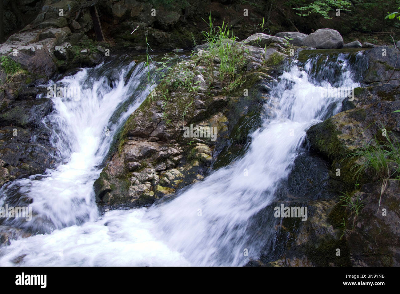 Adirondack mountain stream Stock Photo - Alamy