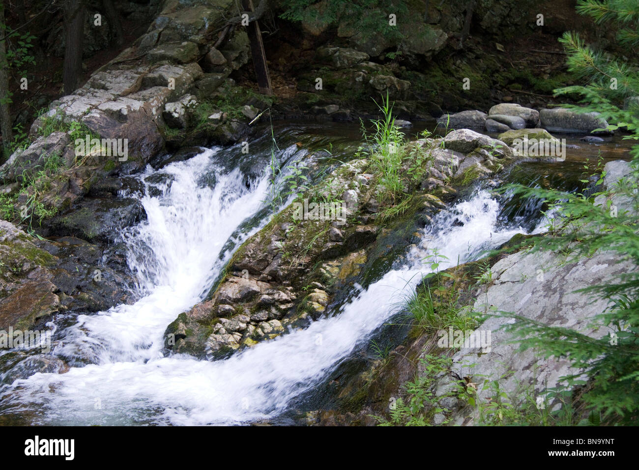 Adirondack mountain stream Stock Photo - Alamy
