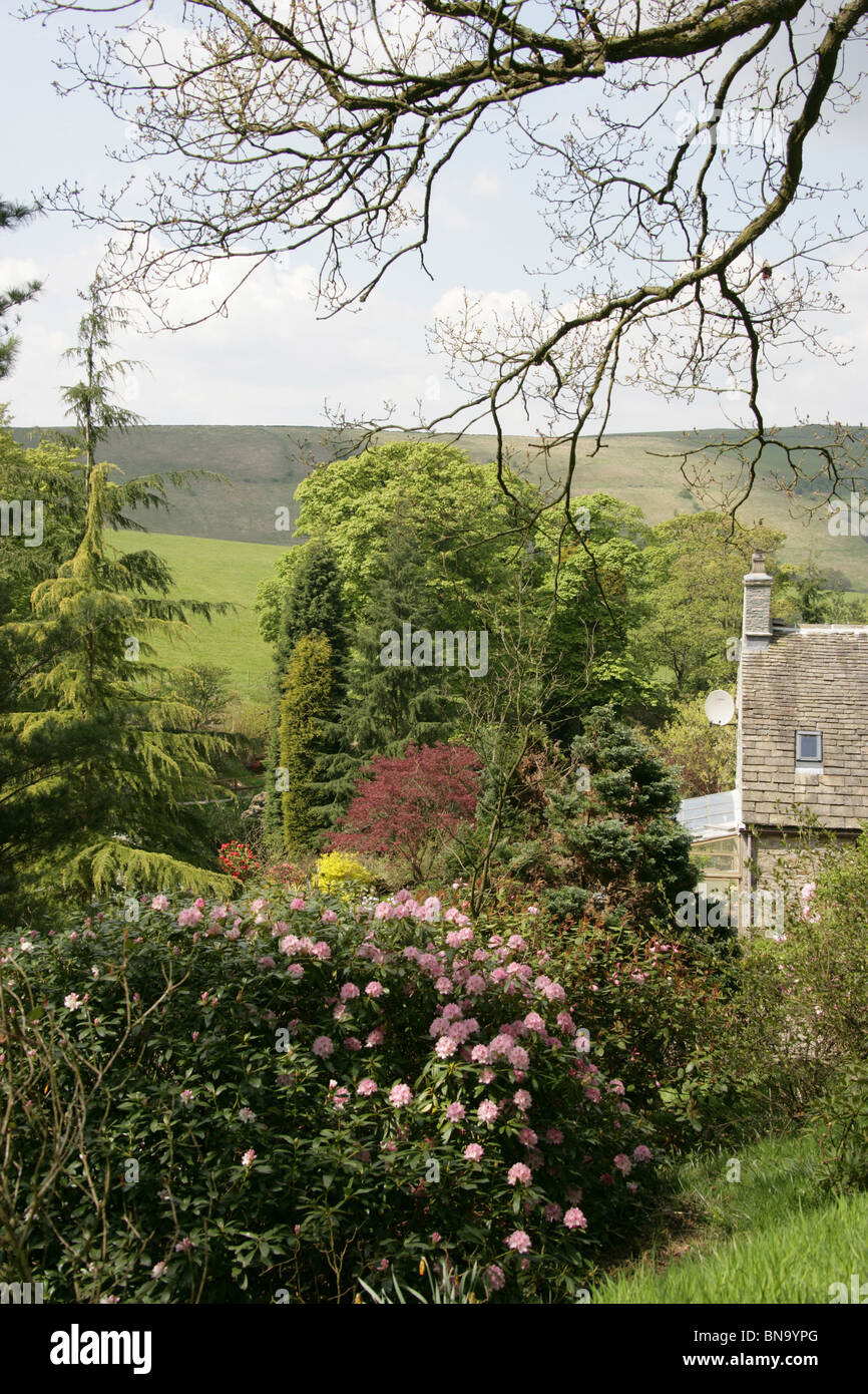 Dunge Valley Rhododendron Gardens, England. Spring view of Dunge Valley ...