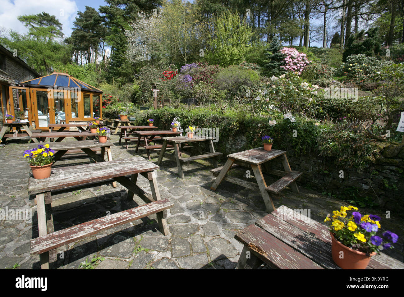 Dunge Valley Rhododendron Gardens, England. Spring view of Dunge Valley ...