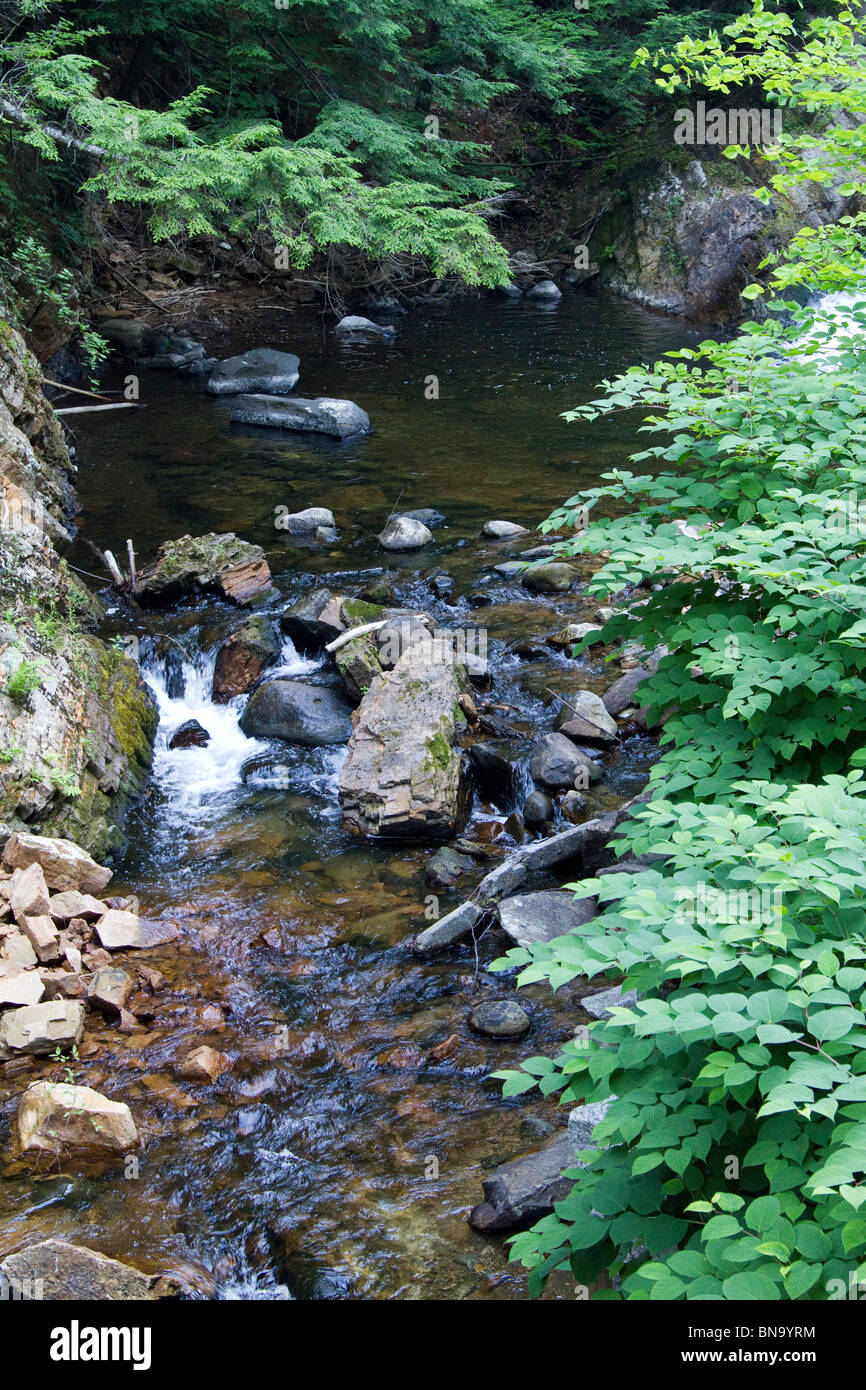 Adirondack mountain stream Stock Photo - Alamy