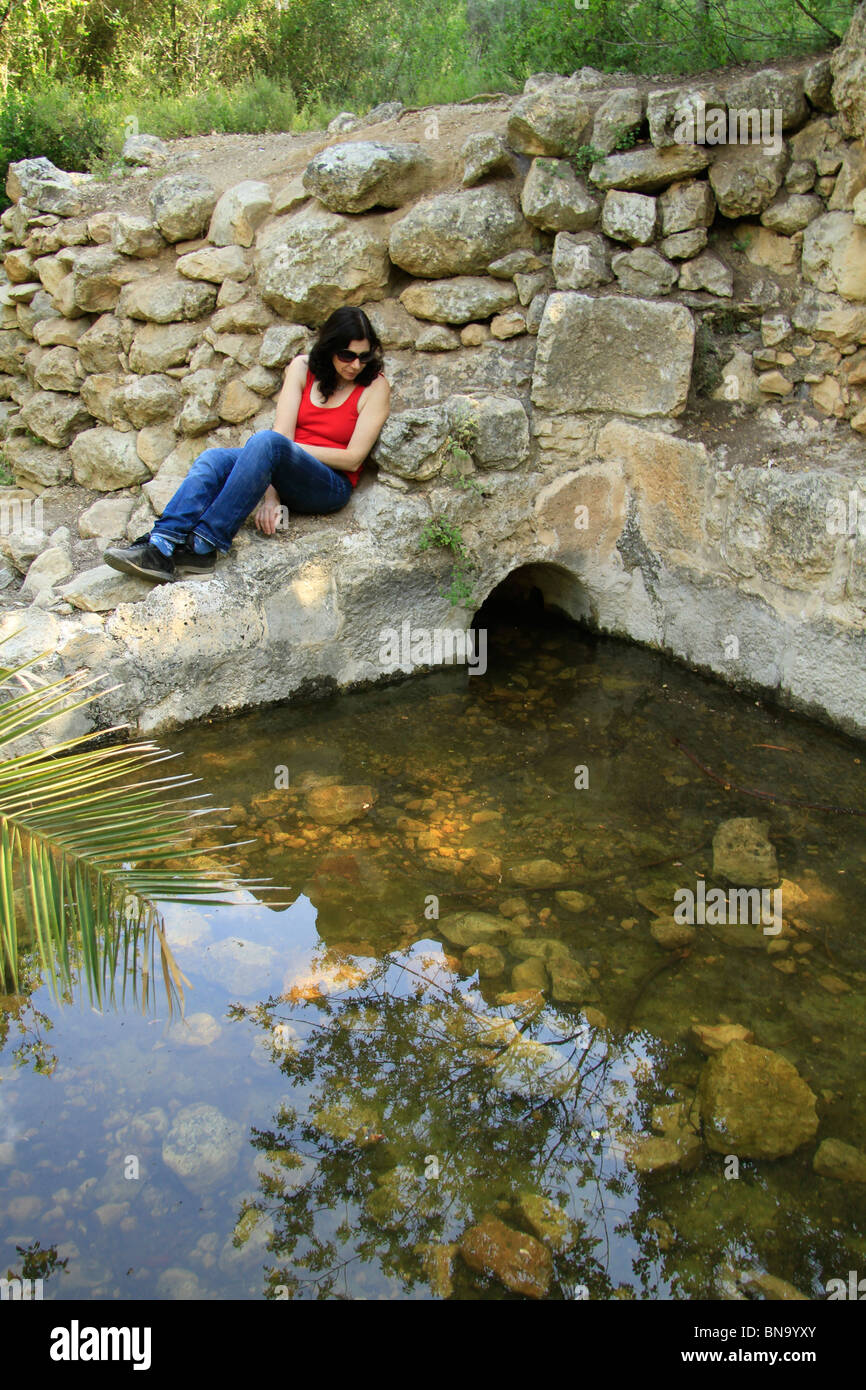 Israel, Jerusalem mountains, Ein Tamar in Aminadav forest Stock Photo ...
