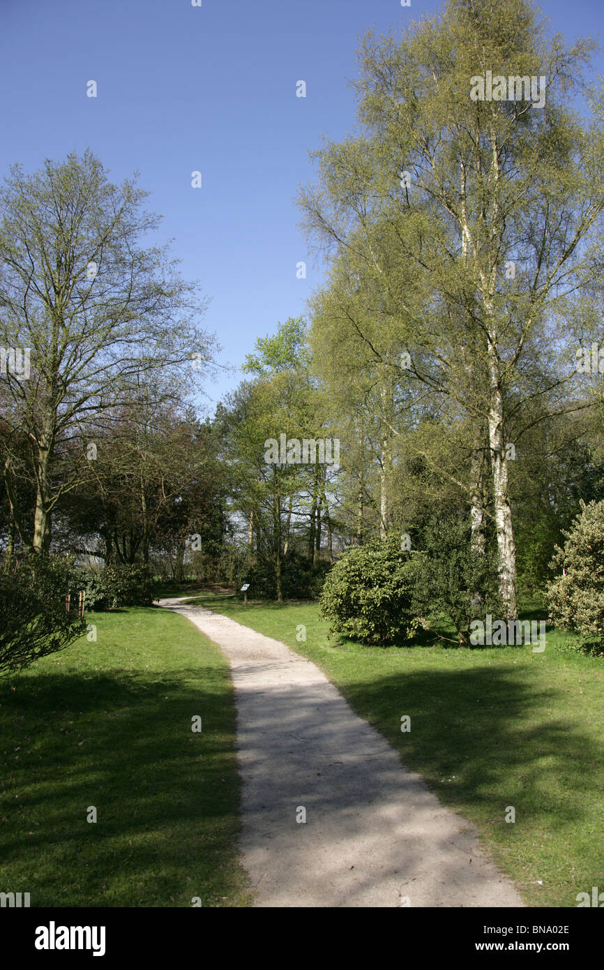 Jodrell Bank Arboretum, England. Spring view of the 35-acre Jodrell ...