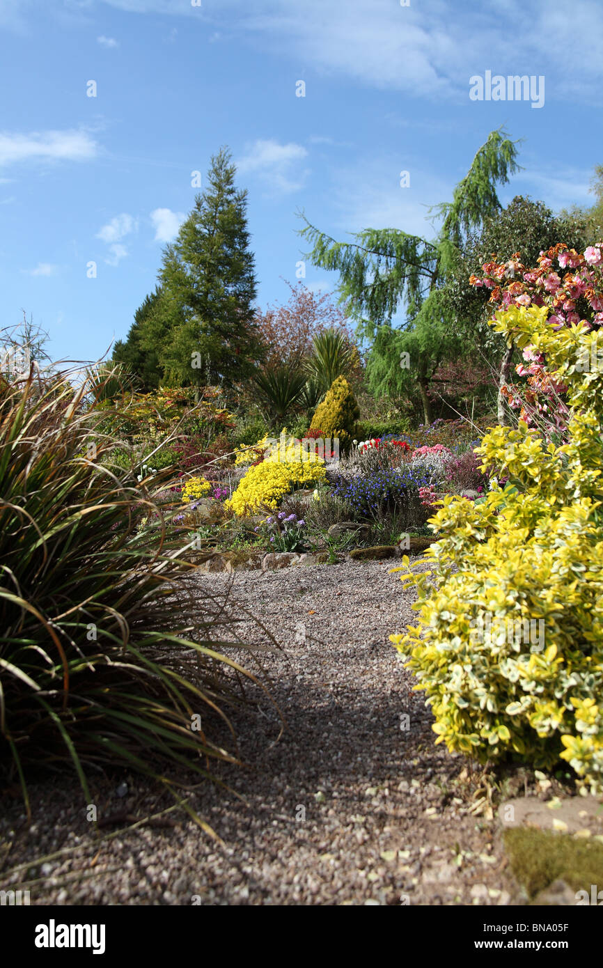 Mount Pleasant Gardens, England. Spring view of the borders, shrubs and ...