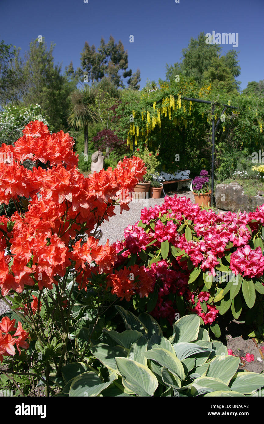 Mount Pleasant Gardens, England. Colourful late spring view of Mount ...