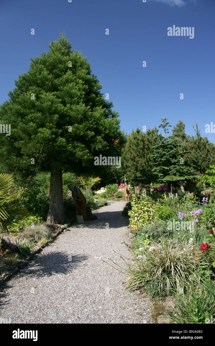Mount Pleasant Gardens, England. Spring view of the borders, shrubs and ...