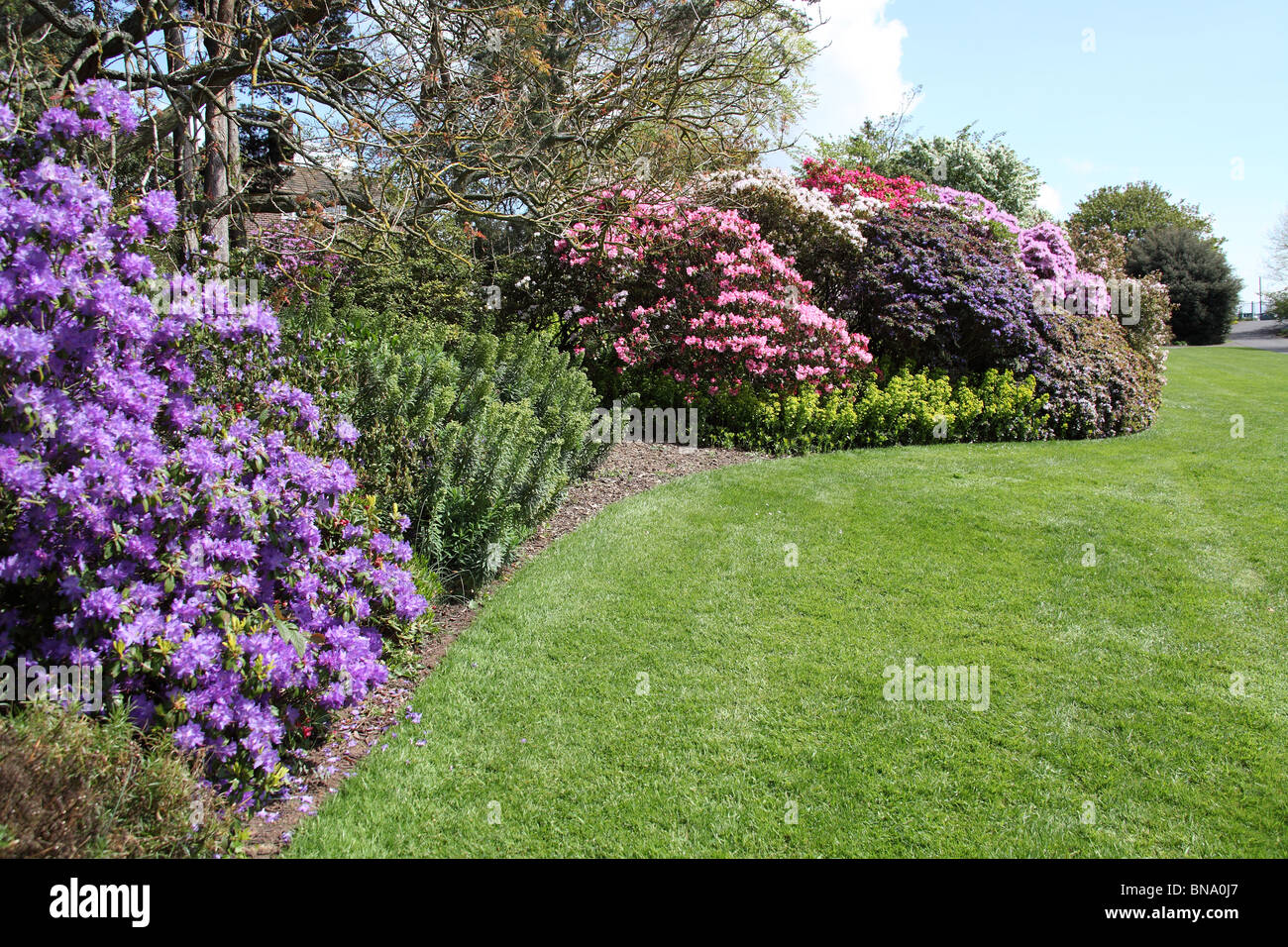 Ness Botanic Gardens, England. Spring view of the Rhododendron Border ...