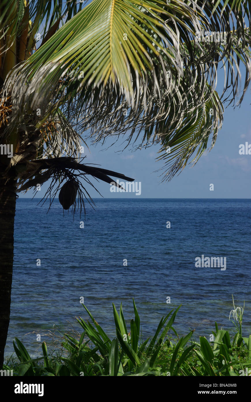 La Princesa de la Isla, Big Corn, Corn Islands, Nicaragua Stock Photo ...