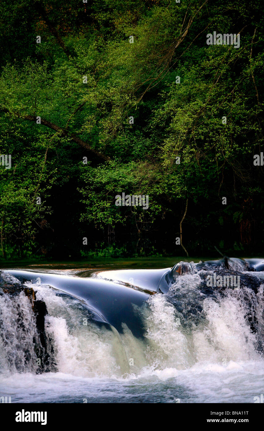 Rio Alva High Resolution Stock Photography and Images - Alamy