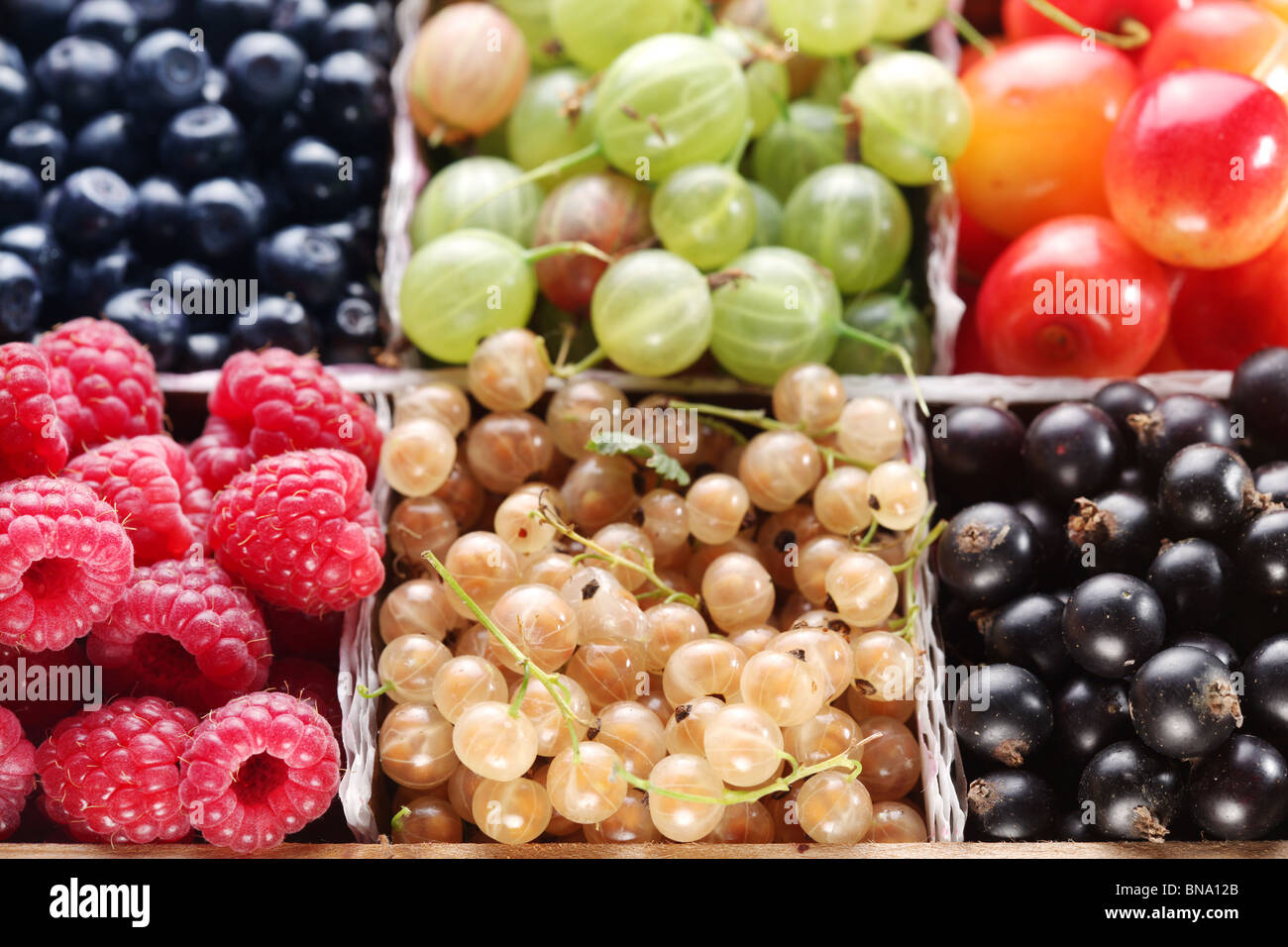 Box case hi-res stock photography and images - Alamy