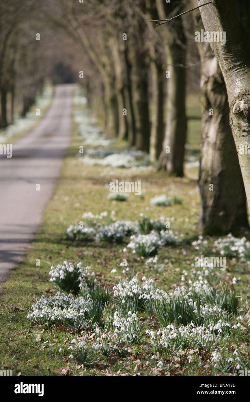 Driveway gardens hi-res stock photography and images - Alamy