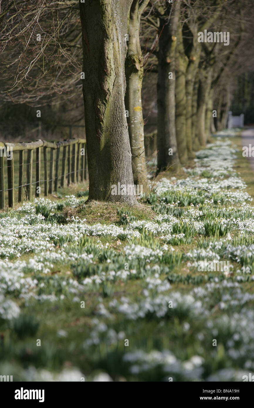 Driveway gardens hi-res stock photography and images - Alamy
