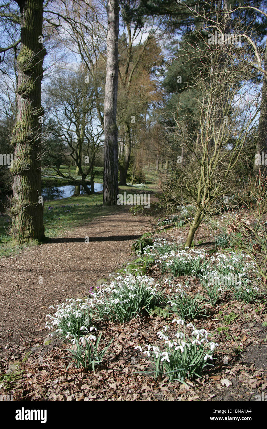 Rode hall gardens hi-res stock photography and images - Alamy