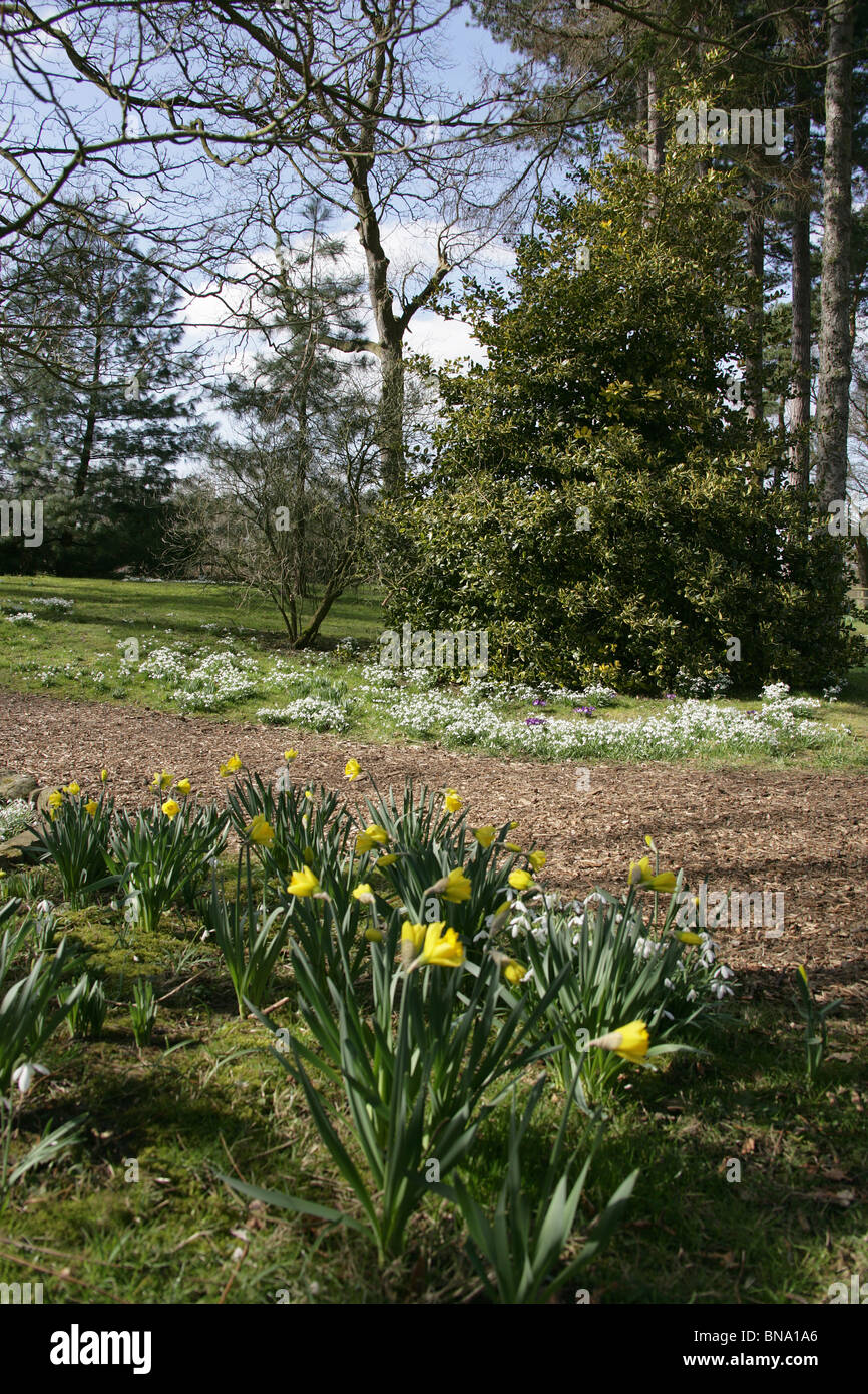 Rode Hall Country House and Gardens. Snowdrop season at Rode Hall ...