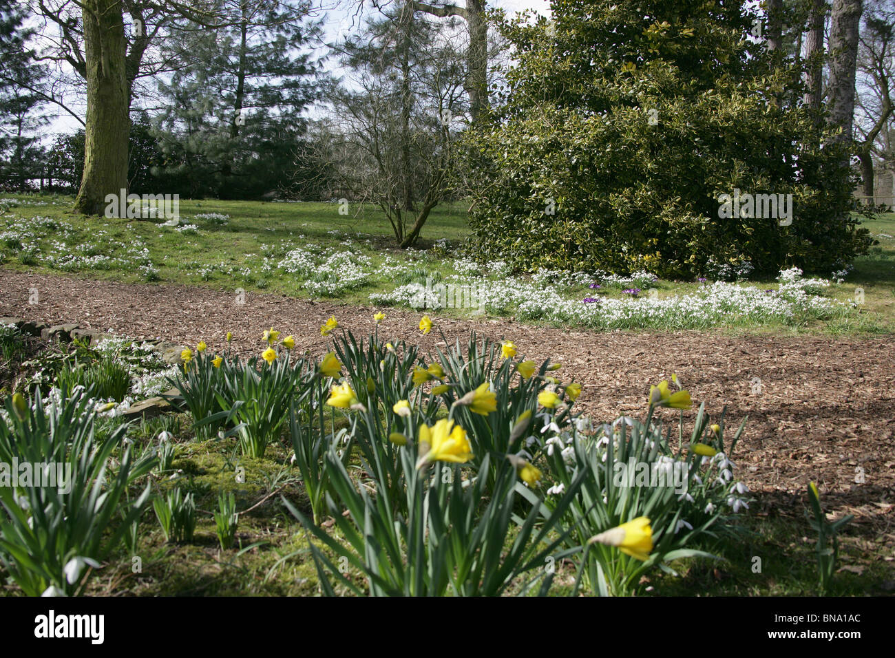 Cheshire gardens of distinction hi-res stock photography and images - Alamy