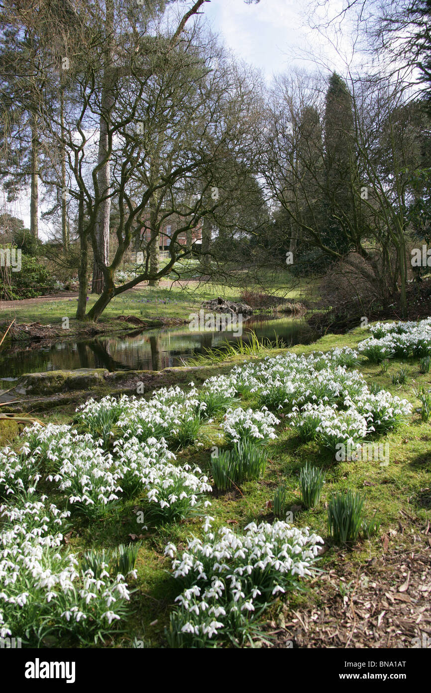 Rode hall gardens hi-res stock photography and images - Alamy