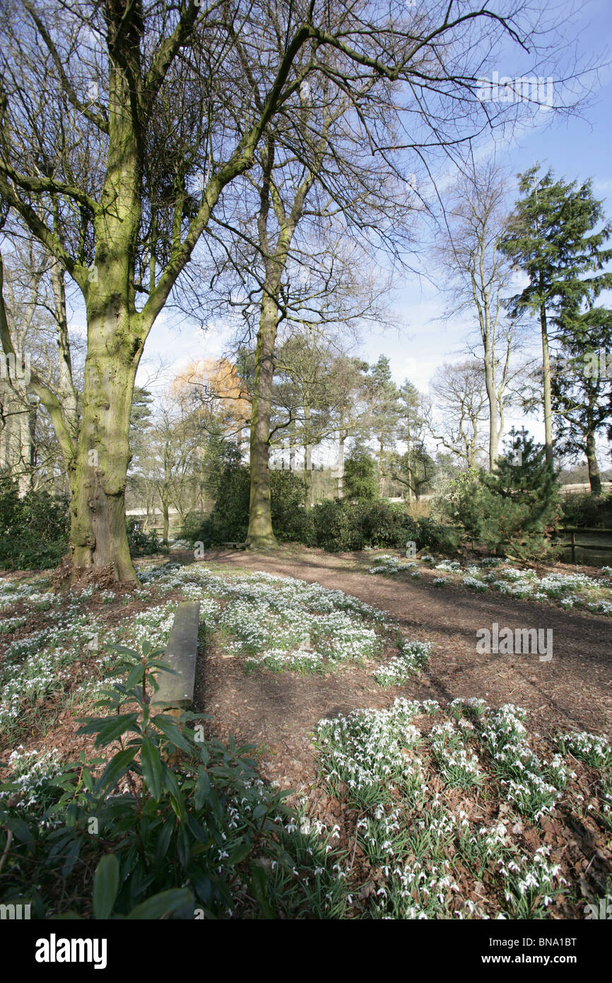 Rode hall country house and gardens hi-res stock photography and images ...