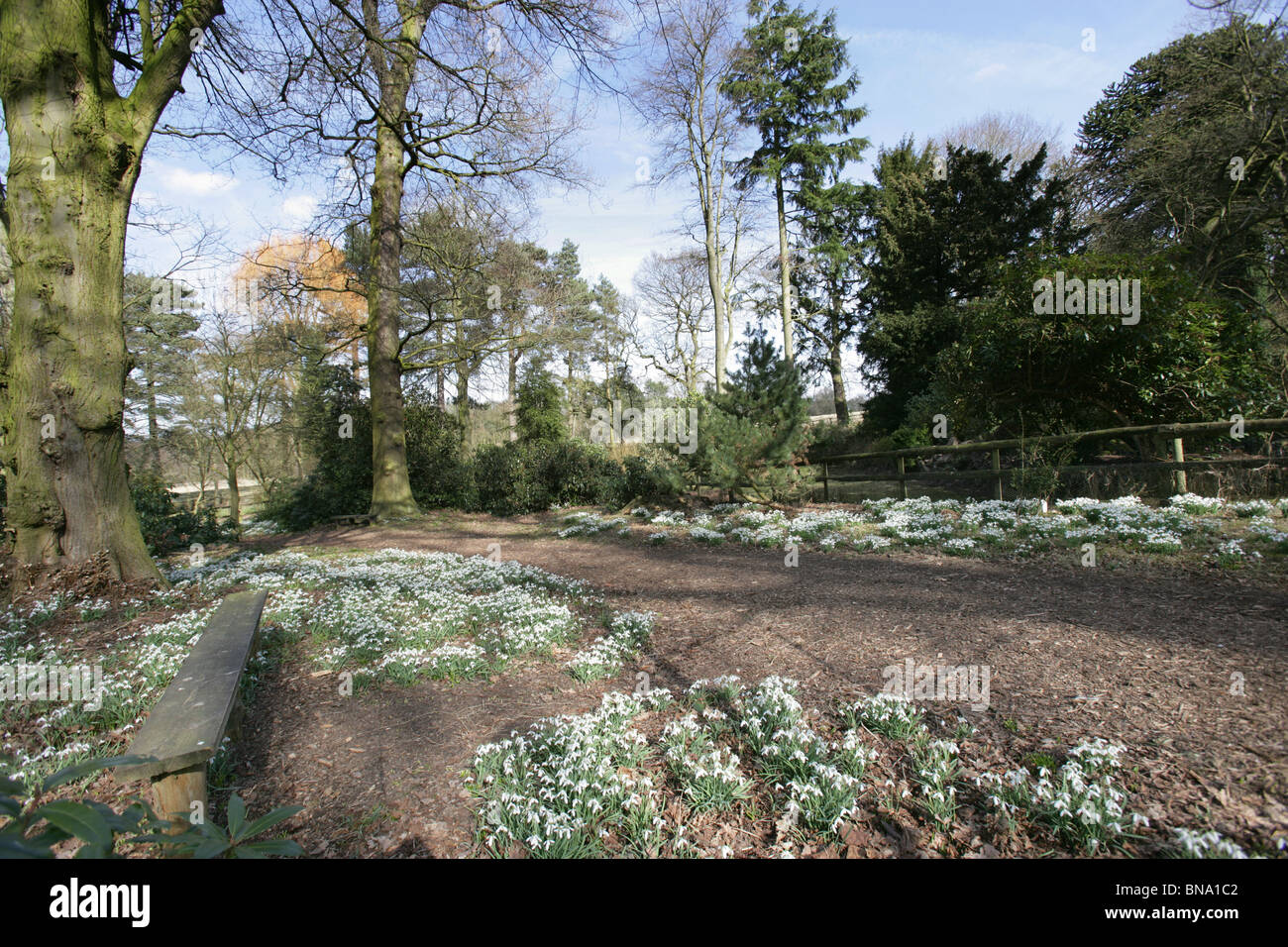 Rode hall gardens hi-res stock photography and images - Alamy