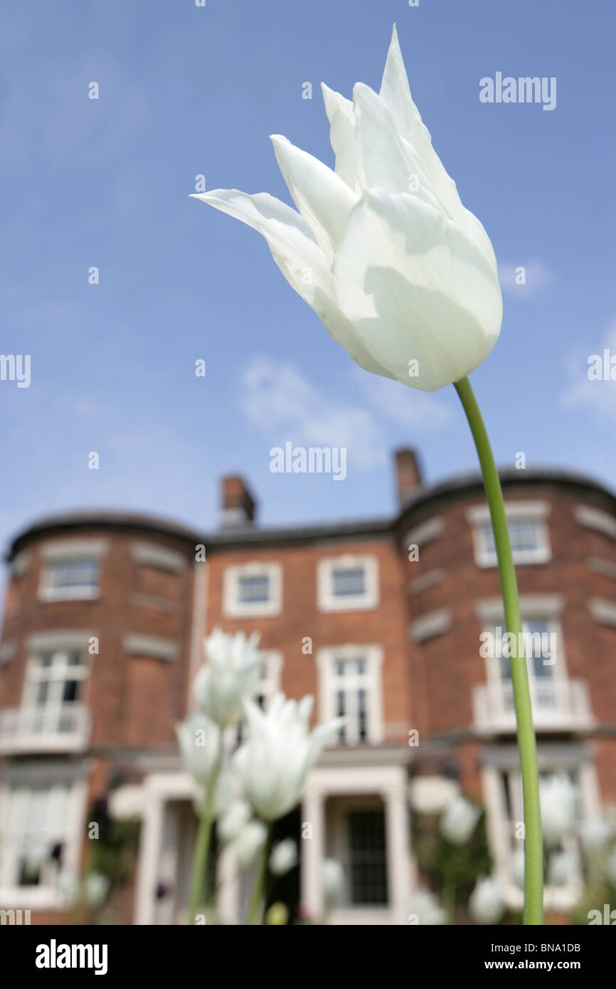 Rode hall country house and gardens hi-res stock photography and images ...