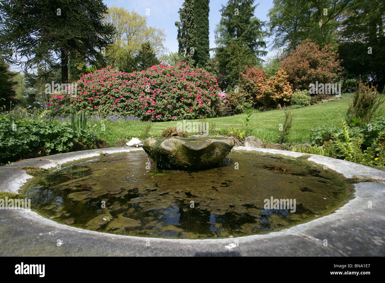 Rode Hall Country House and Gardens. Picturesque spring view of ...