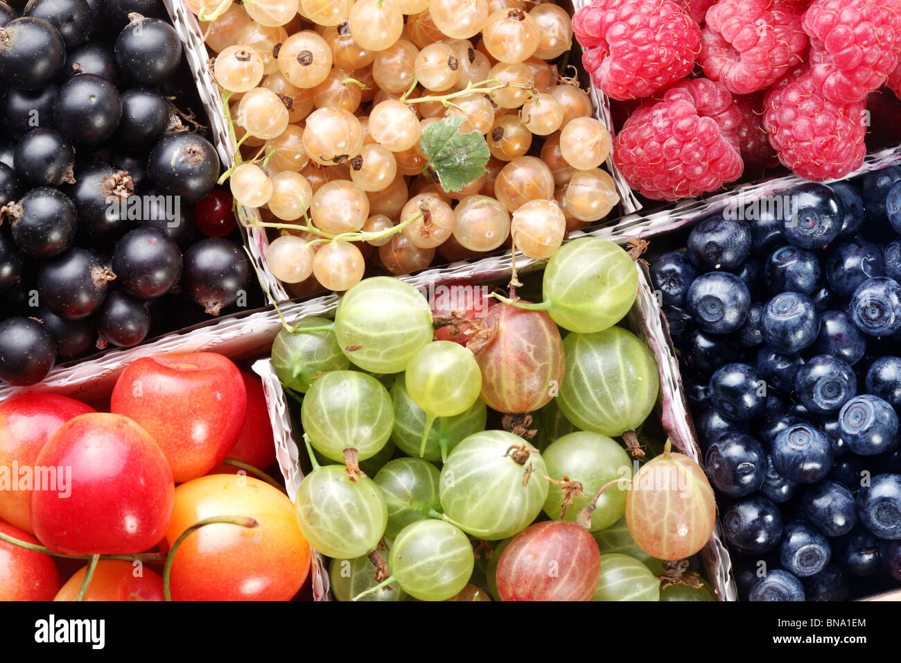 Box huckleberry hi-res stock photography and images - Alamy