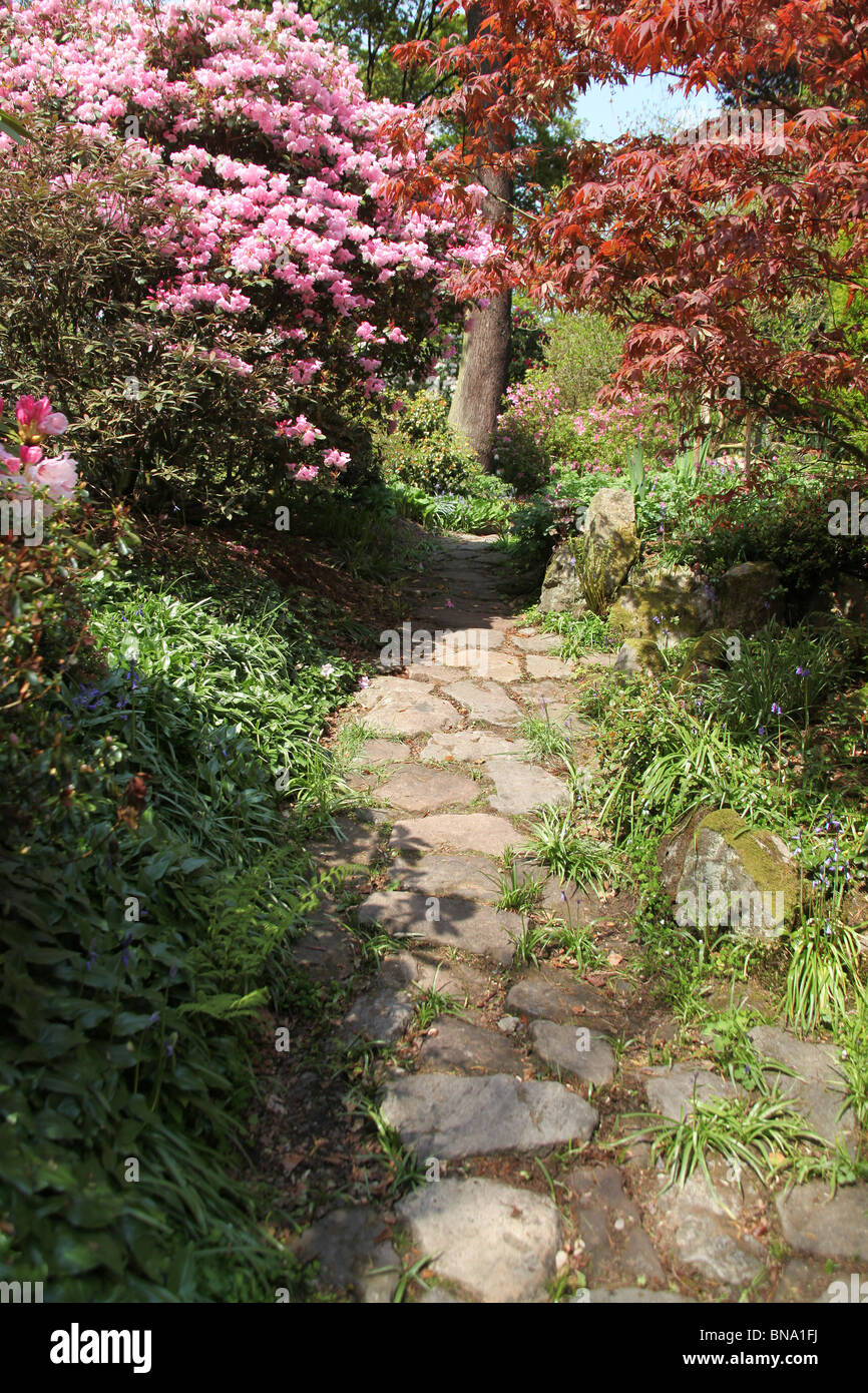 Rode hall country house and gardens hi-res stock photography and images ...