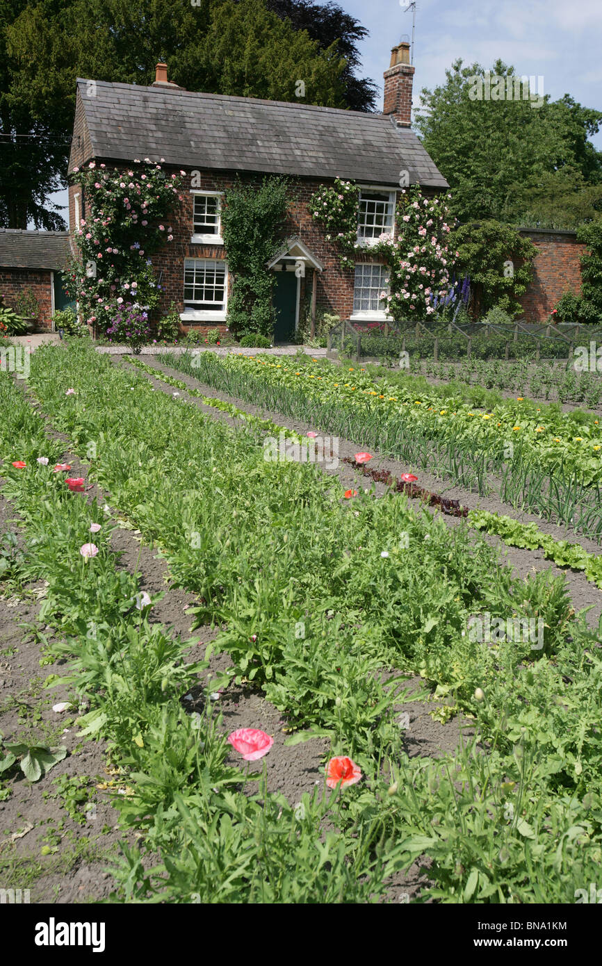 Rode Hall Country House and Gardens. Early summer view of the Walled ...