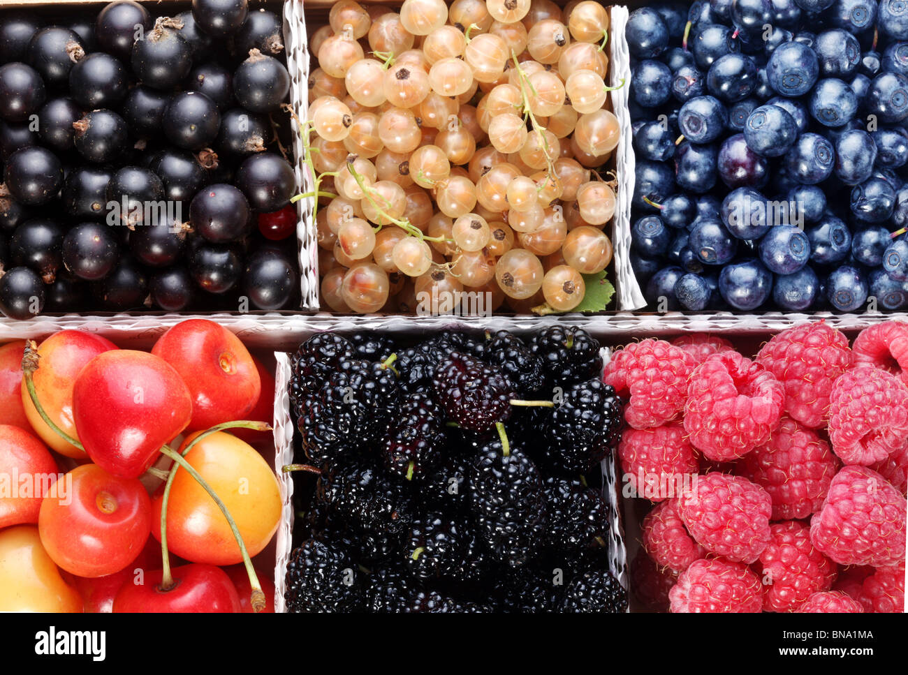 Different colourful berries in the box Stock Photo - Alamy