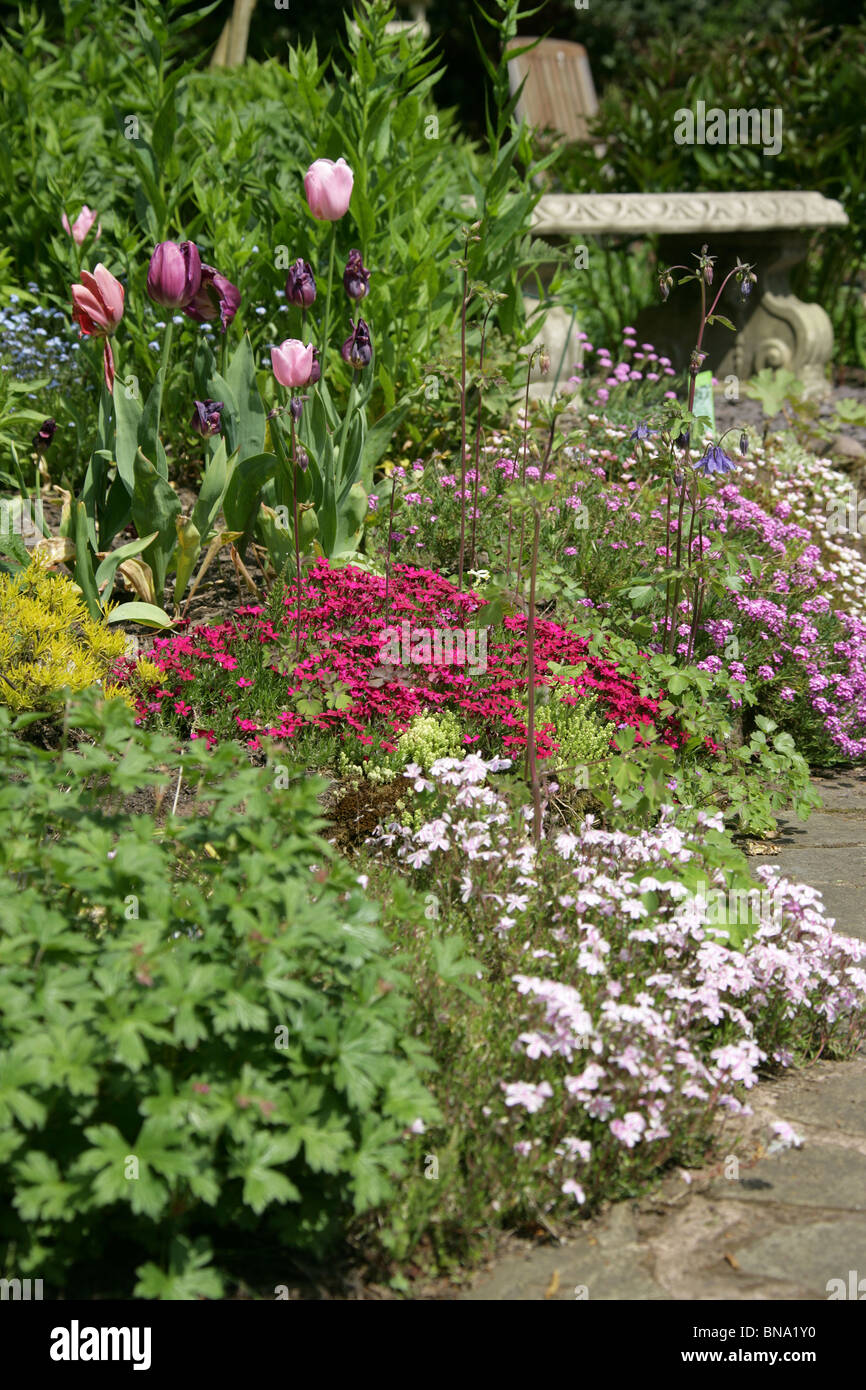 Stonyford Cottage Gardens, England. Colourful spring view of the ...