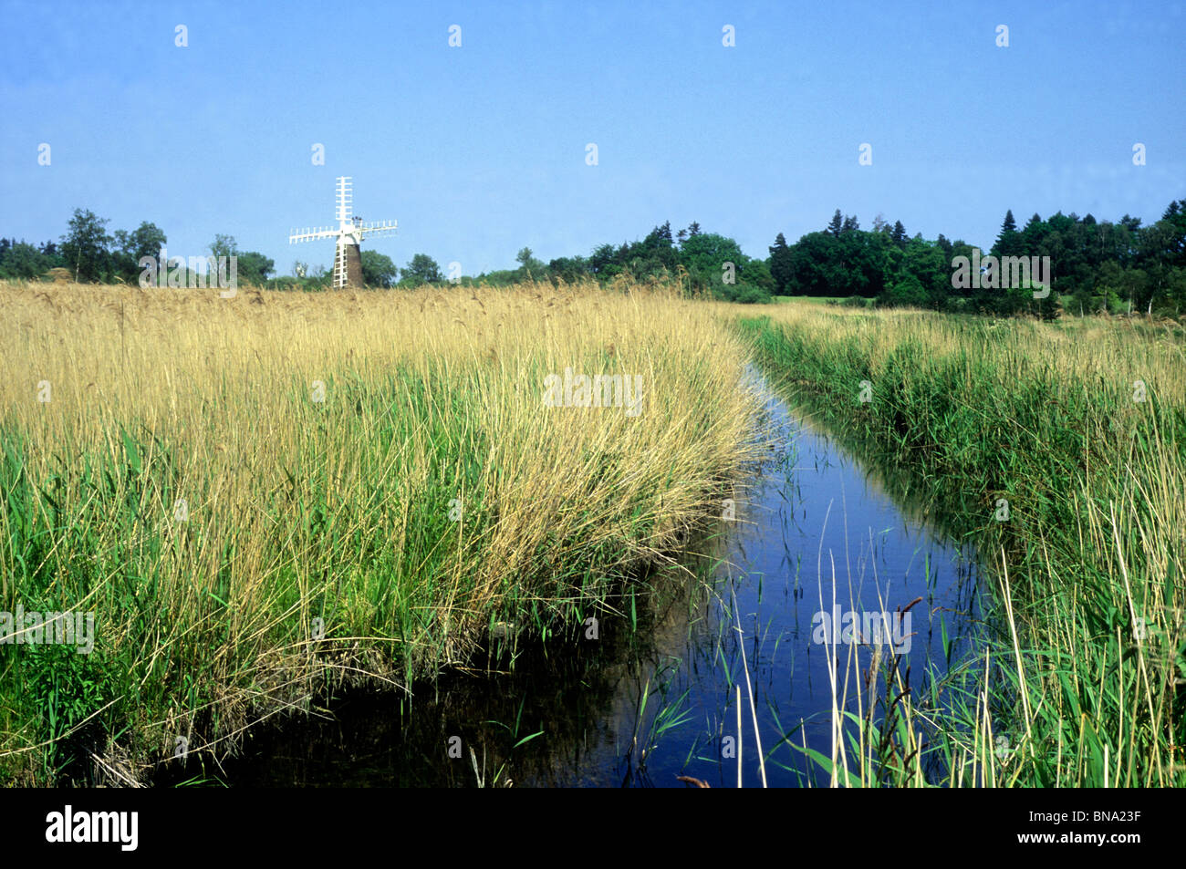 Turf Fen Drainage Mill, Windmill, Ludham, Norfolk Broads England UK ...